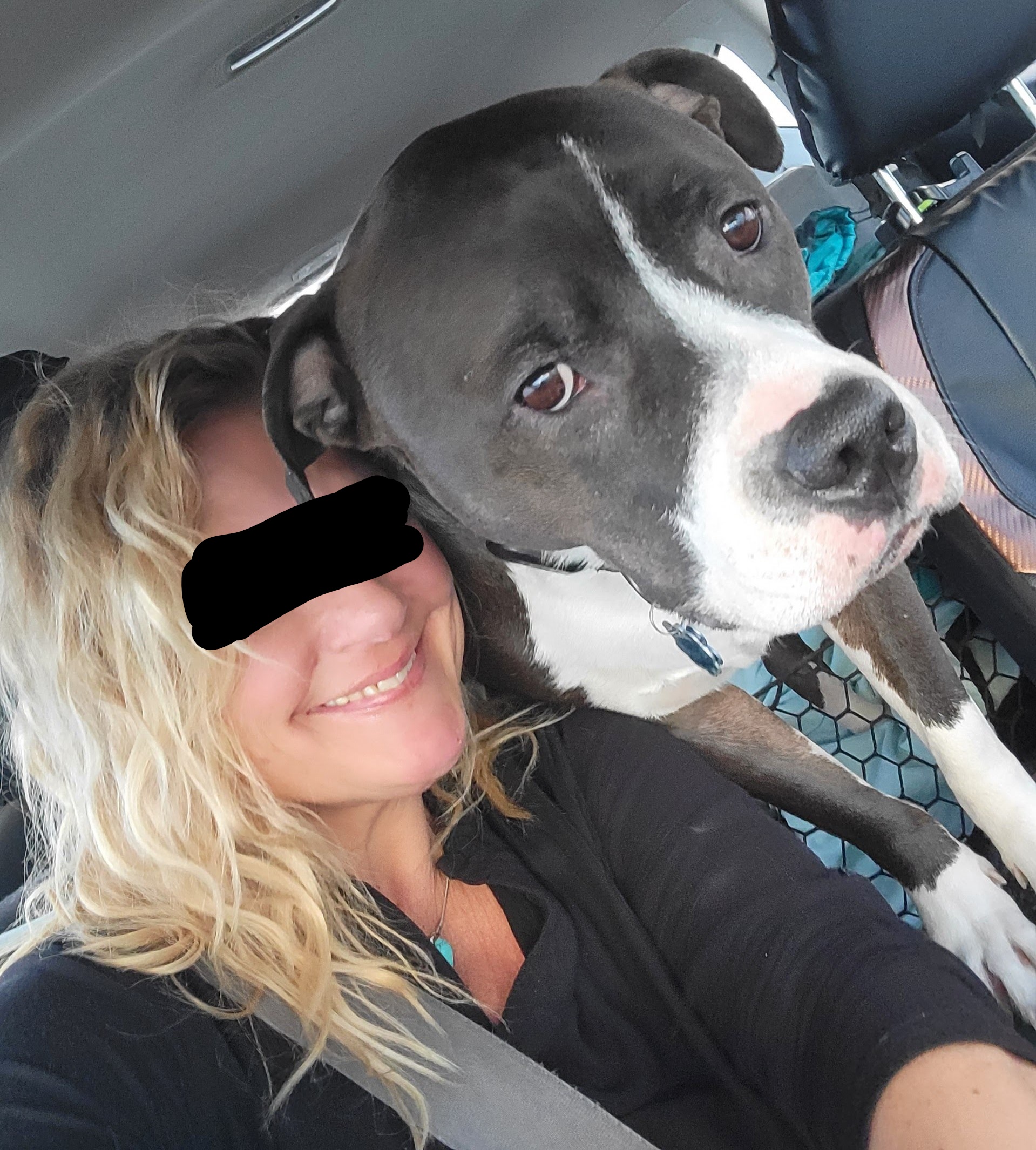 The Return – Rob Says